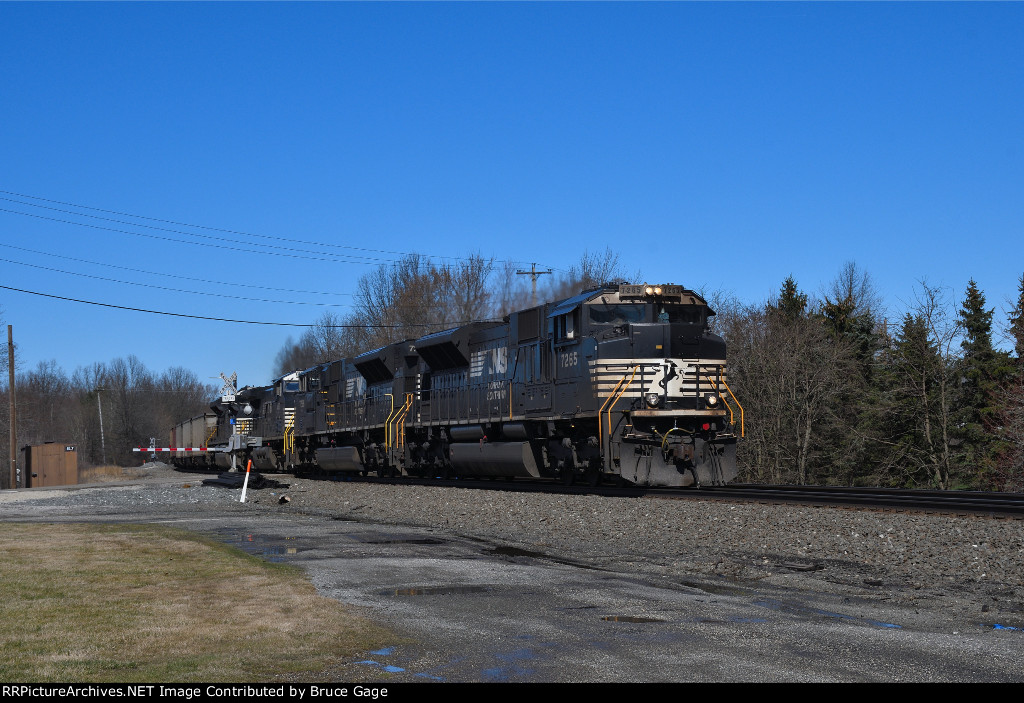NS 7265